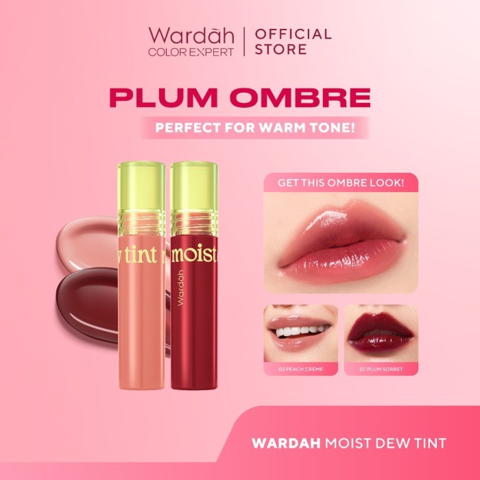 Jual WARDAH Moist Dew Tint 3g - Liptint Mengadung Oatmilk dan ...