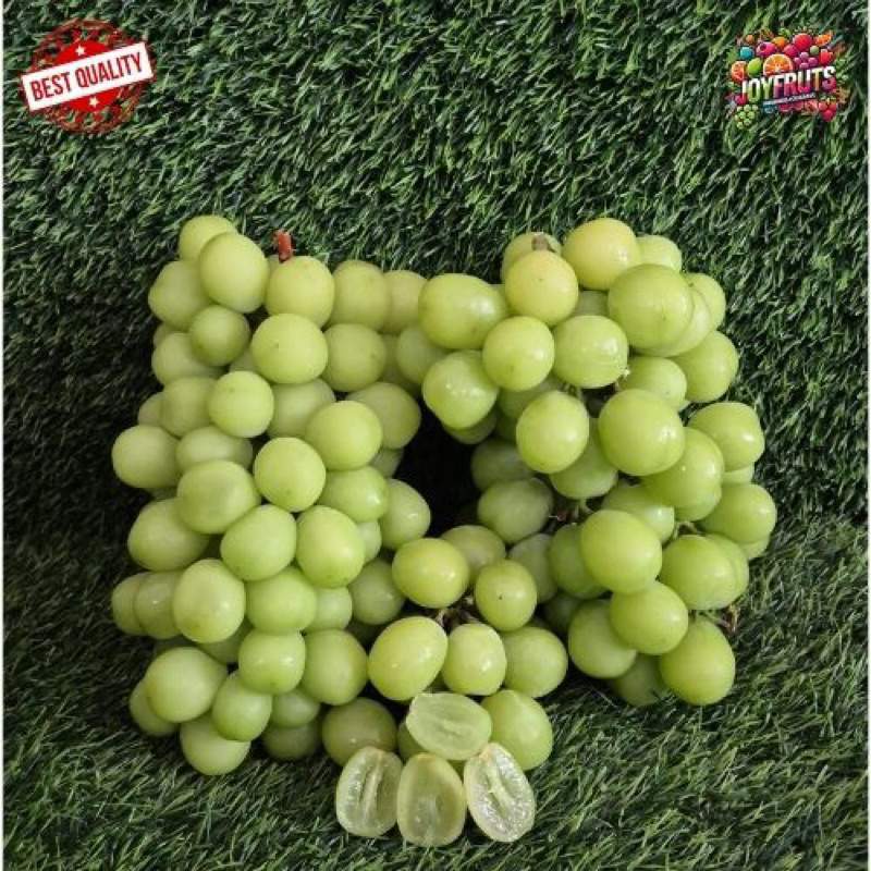 Jual Buah Anggur Shine Muscat Pack Impor 500-1000g | Shopee Indonesia