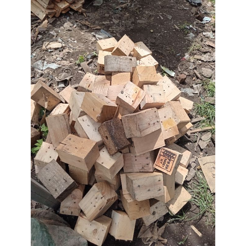 Jual Balok Jati Belanda x Pallet Panjang 10 dan 14cm | Shopee Indonesia