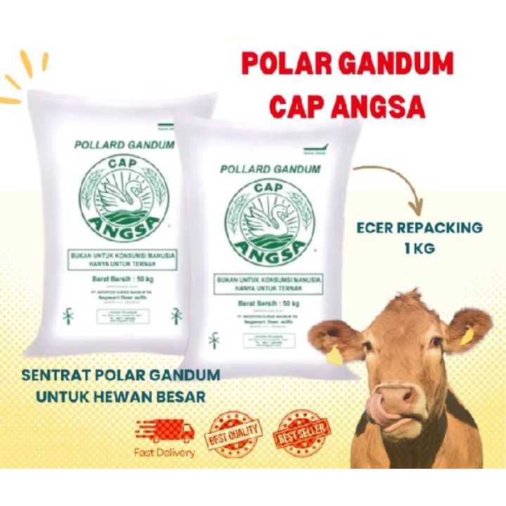 Jual POLAR GANDUM ECER 1 KG / DEDAK GANDUM 1 KG/ PAKAN TERNAK POLLARD ...