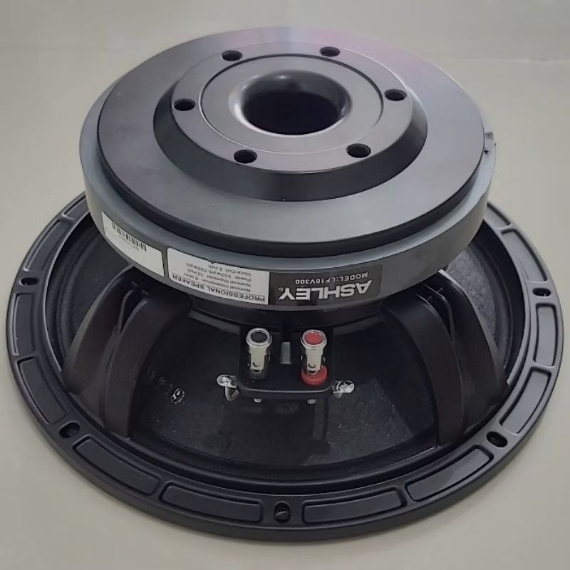 Jual SPEAKER KOMPONEN ASHLEY 10 INCH ASHLEY 10LFV300 | Shopee Indonesia