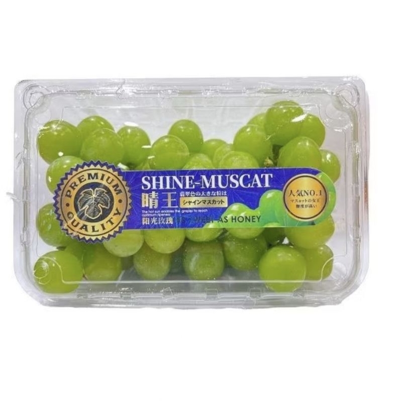 Jual Anggur Hijau Manis Pack / Anggur Hijau | Shopee Indonesia