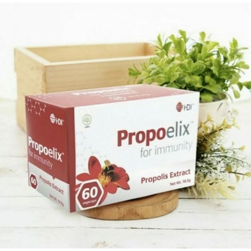 Jual Propoelix 60 kapsul exp tahun 2025 | Shopee Indonesia