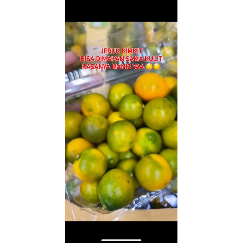 Jual Jeruk kimkit perpack / jeruk bisa dimakan sama kulitnya | Shopee ...