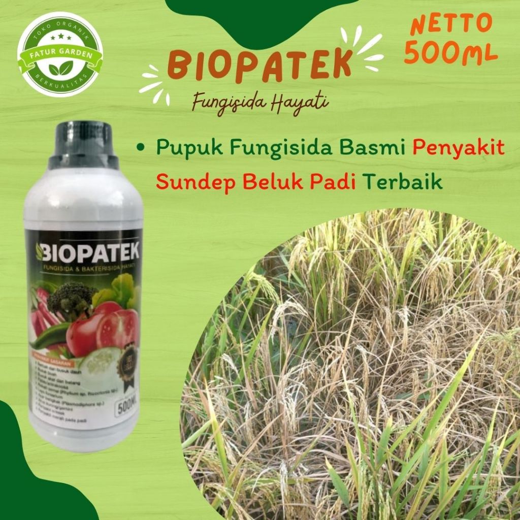 Jual Obat Ajaib Sundep Beluk Padi Paling Ampuh - BIOPATEK 500ML Pupuk Fungisida Atasi Penyakit ...