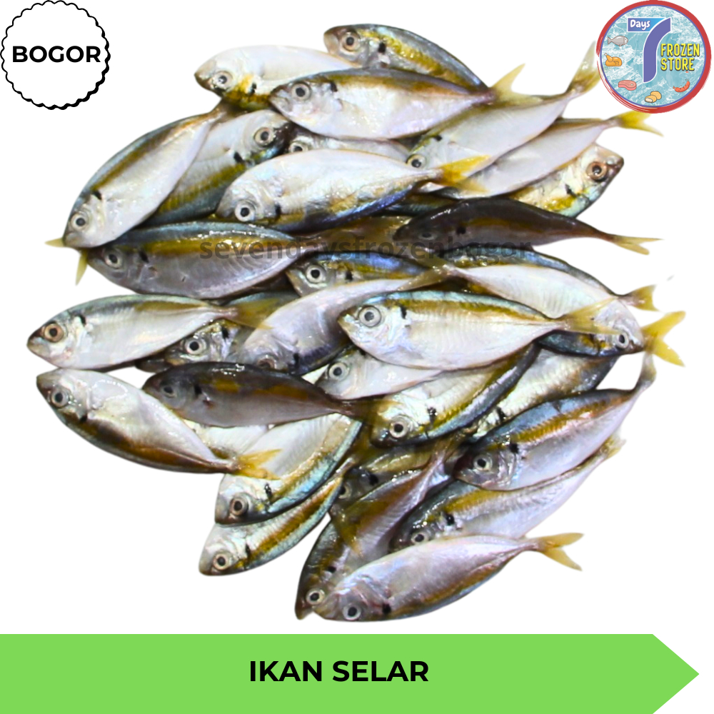 Jual Ikan Selar Beku Frozen Premium Quality Kemasan 1 Kg | Shopee Indonesia