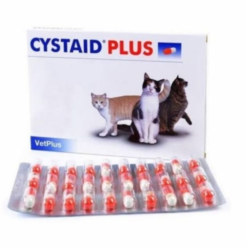 Jual Cystaid Plus Kapsul VetPlus Obat Kesehatan Kandung Kemih Kucing ...