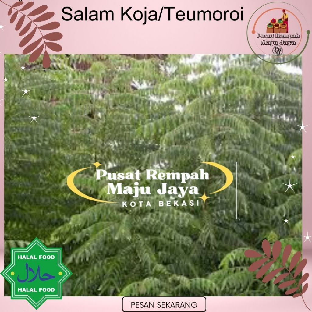 Jual Daun temurui /salam koja / daun kari Organik 10 tangkai | Shopee ...