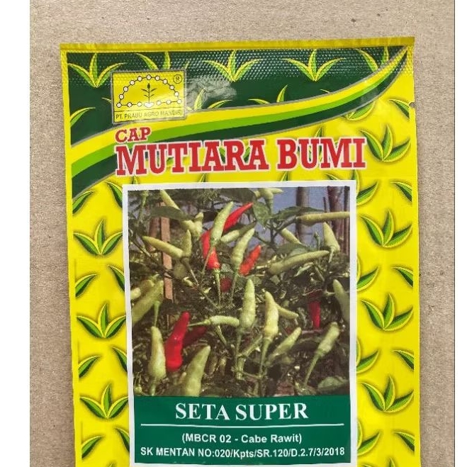 Jual Benih Cabe Rawit SETA SUPER CAP MUTIARA BUMI Isi 10gram | Shopee ...