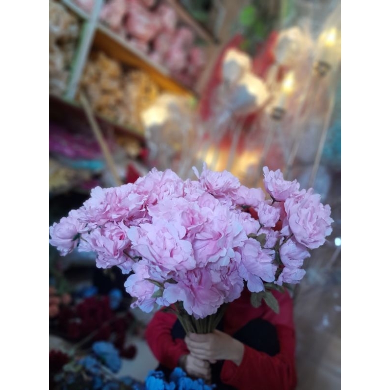 Jual bunga anyelir | Shopee Indonesia