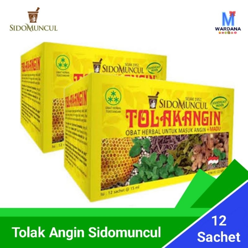 Jual Tolak Angin Cair Dewasa Box Isi 12 Sachet - Tolak Angin Box ...