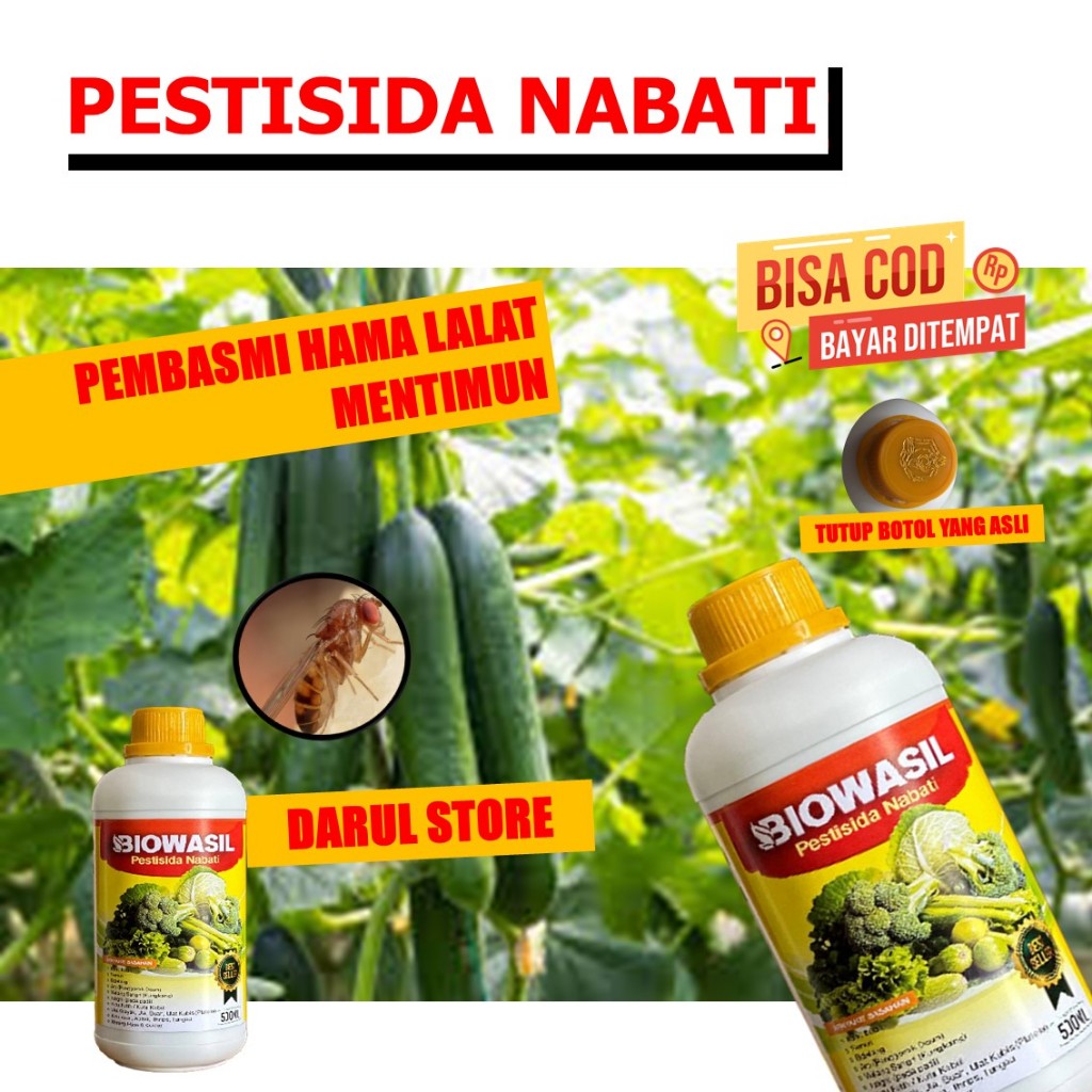 Jual Insektisida Hama Lalat Buah Timun Suri BIOWASIL Pupuk Pengendali ...