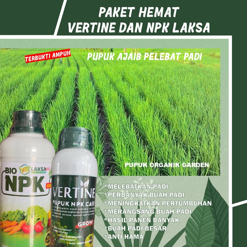 Jual PAKET 2 BOTOL PUPUK BIO NPK LAKSA & VERTINE GROW PELEBAT Padi Sawah Musim Hujan Paling ...