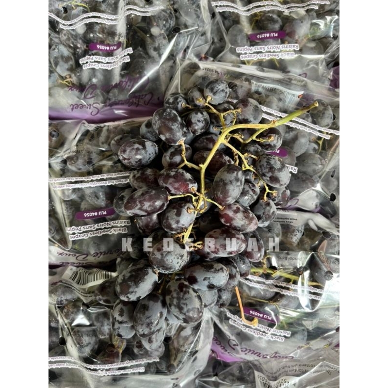 Jual Anggur Autumn Royal USA | Shopee Indonesia