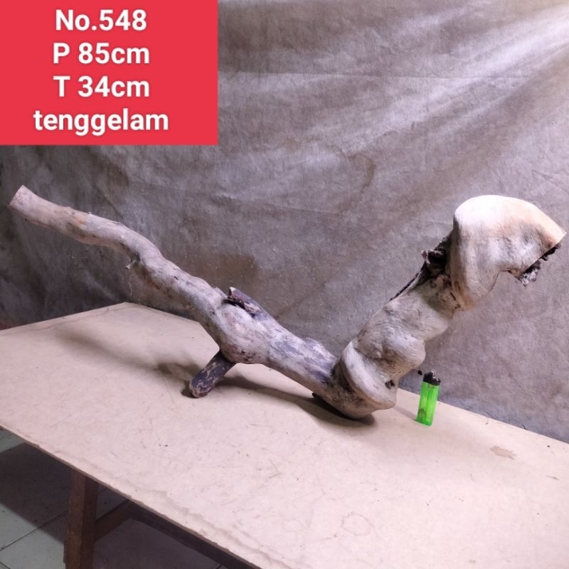 Jual batang kayu santigi laut akar santigi laut detailing aquascape ...
