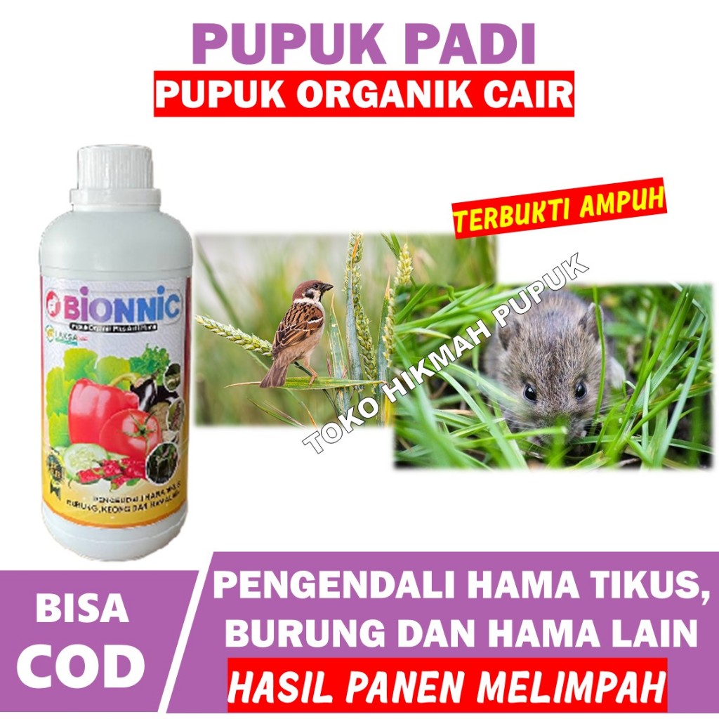 Jual READY STOK Pestisida Hama Tikus dan Burung Pipit Padi Sawah ...