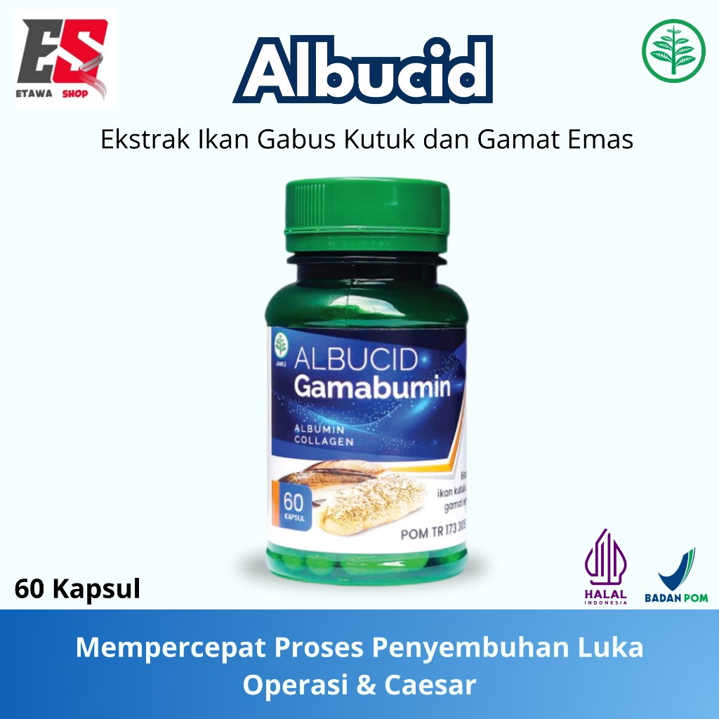 Jual Kapsul Albucid Collagen Gamabumin Ekstrak Ikan Gabus Kutuk dan ...
