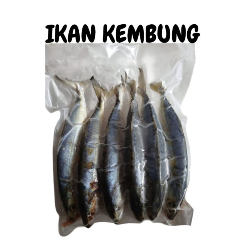 Jual Ikan kembung Frozen/ikan beku/ikan 1kg | Shopee Indonesia