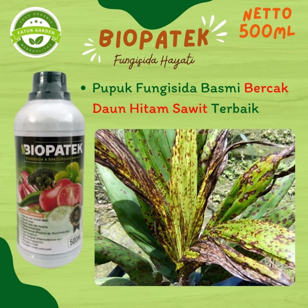 Jual Pupuk fungisida untuk busuk mati pucuk kelapa sawit terbaik ...