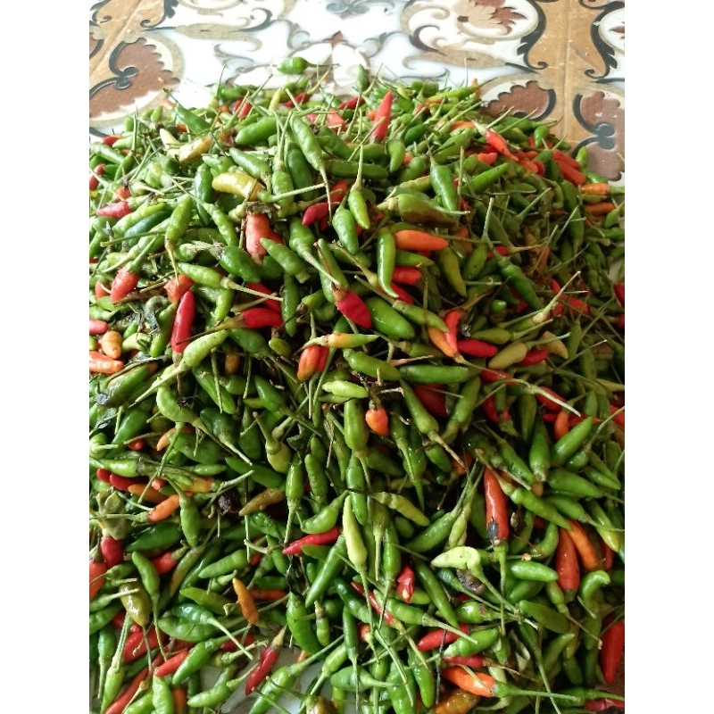 Jual cabe rawit ijo Per kilogram | Shopee Indonesia