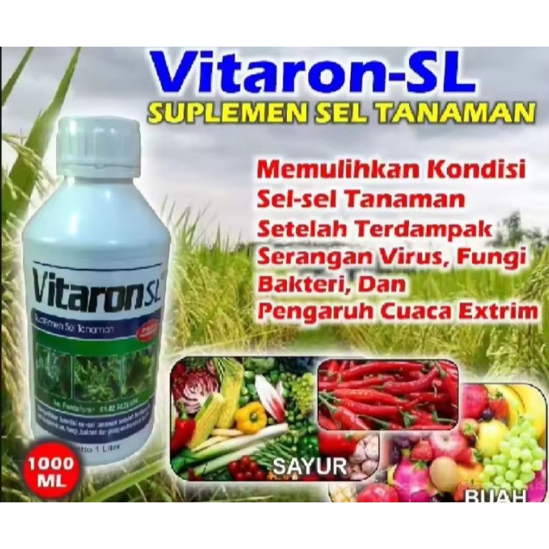 Jual BELI 3 BOTOL GRTIS 1 BOTOL VITARON SL 1 Liter ) Suplemen Sel ...