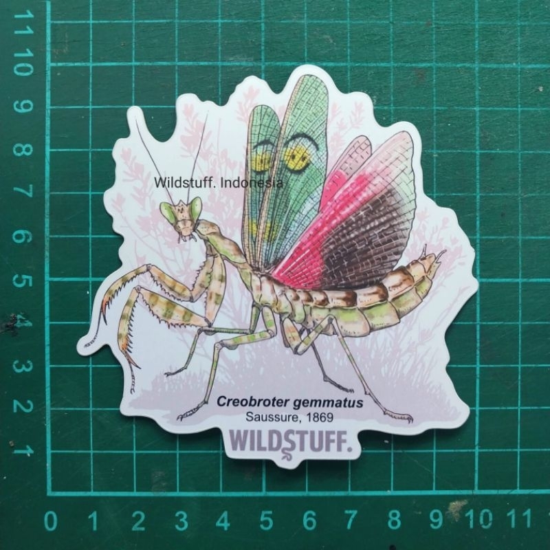 Jual Sticker Wildstuff Seri Serangga Arthropoda Flower Mantis | Shopee ...