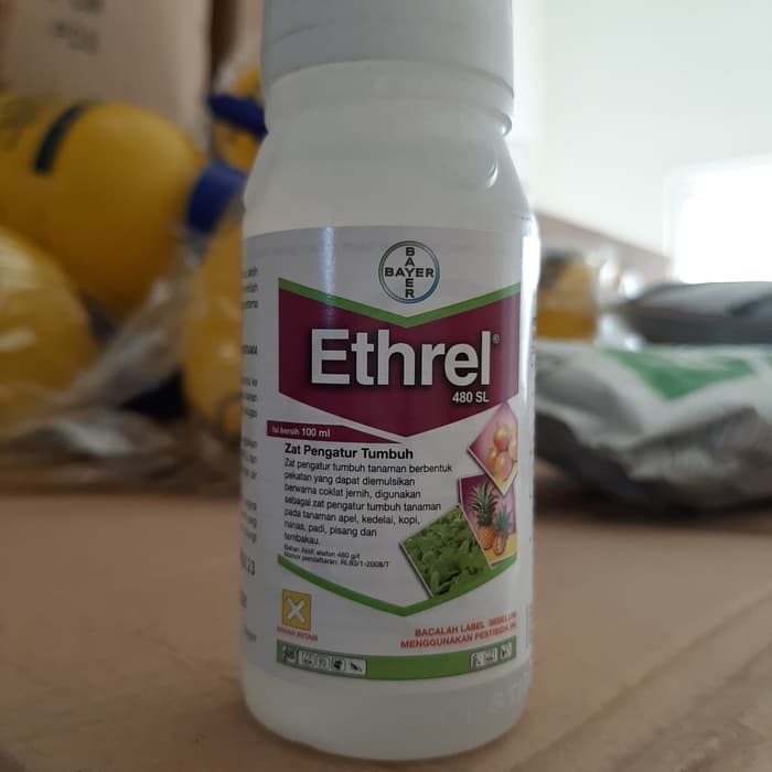 Jual Ethrel 100 ML Etefon 480 SL ZPT Zat Pematang Buah Naga Pematangan ...