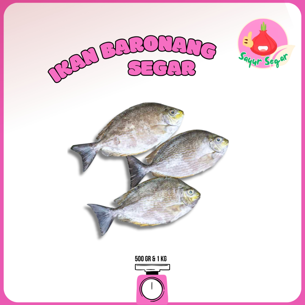 Jual Sayur Segar - Ikan Baronang Segar / Baronang Fish | Shopee Indonesia