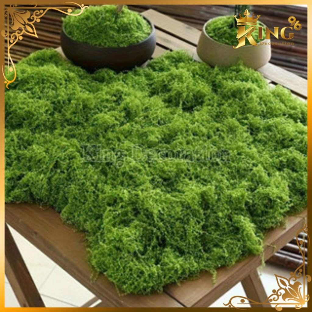 Jual LUMUT ABADI / MOSS DRIED / LUMUT AWETAN / DEKORASI MOSS / EKORASI ...