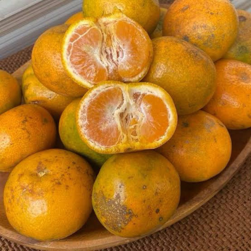 Jual PREMIUM!!! Jeruk Medan Berastagi Super 1kg | Shopee Indonesia