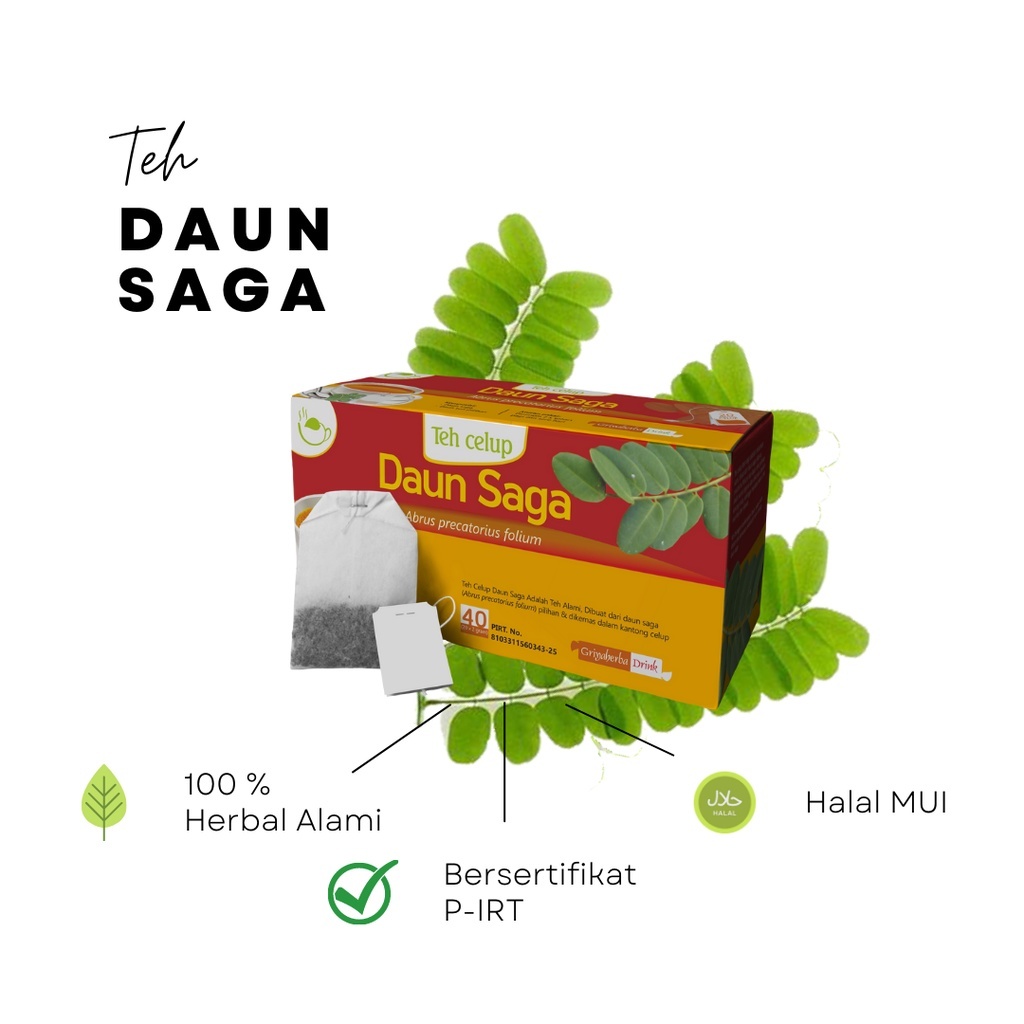 Jual Teh Celup Daun Saga Asli Herbal Teh Alami untuk Mengatasi Batuk ...