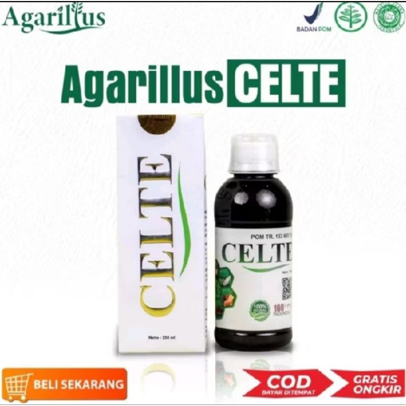 Jual Agarillus celte POM TR. 153 685 761 | Shopee Indonesia