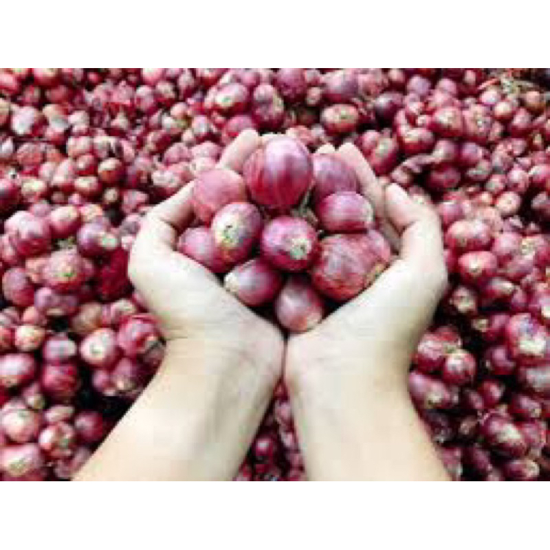 Jual BERKAH TANI MURAH Bawang Merah Asli Tawangmangu 100 Gram 1 Ons