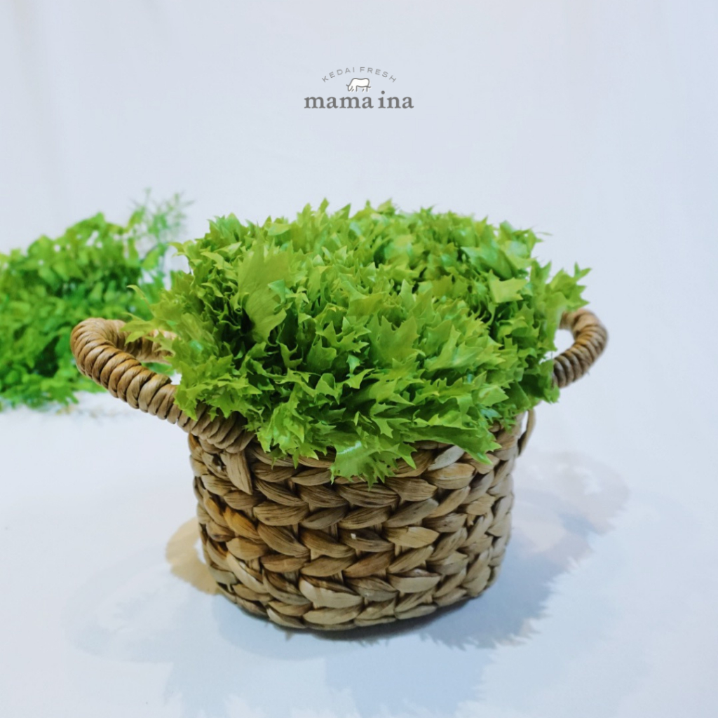 Jual Salanova Green Frisee 200g | Shopee Indonesia