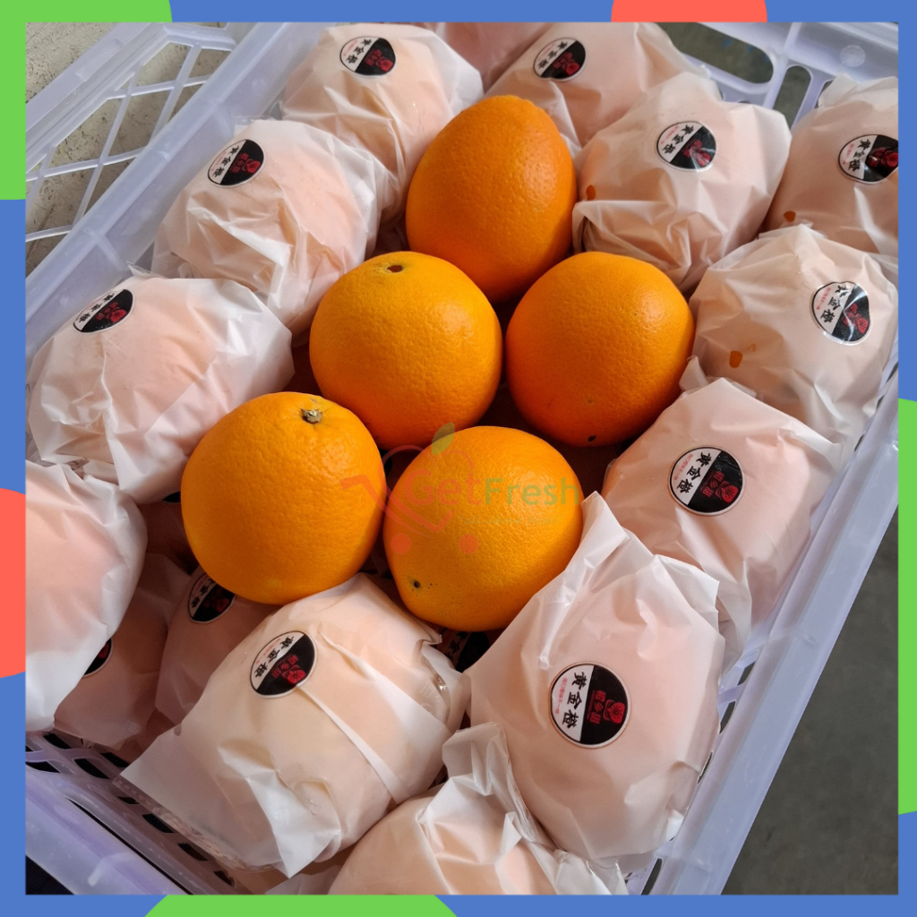 Jual Jeruk Sunkist Navel Dus +- 14 Kg | Shopee Indonesia