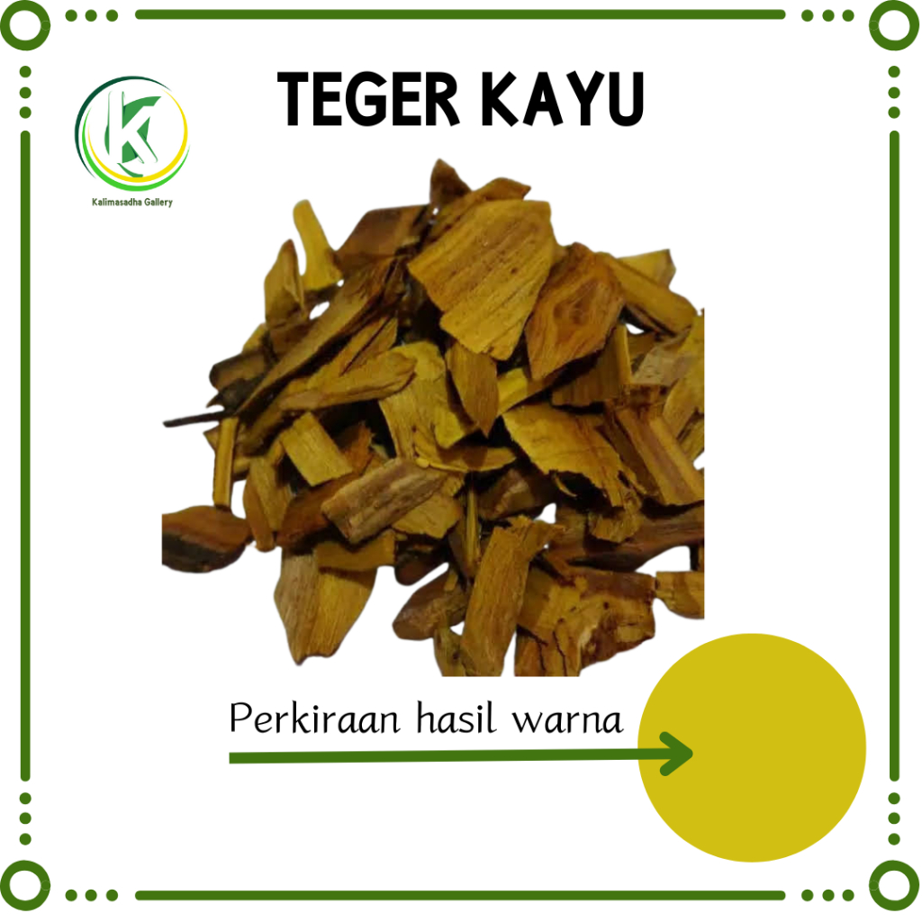 Jual TEGERAN KAYU PEWARNA ALAM ECOPRINT DAN BATIK ZWA KUNING KAYU TEGER ...