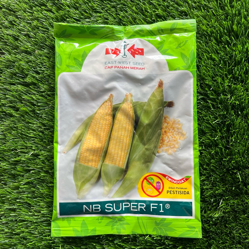 Jual BENIH JAGUNG MANIS NB SUPER F1 1750 BUTIR | Shopee Indonesia