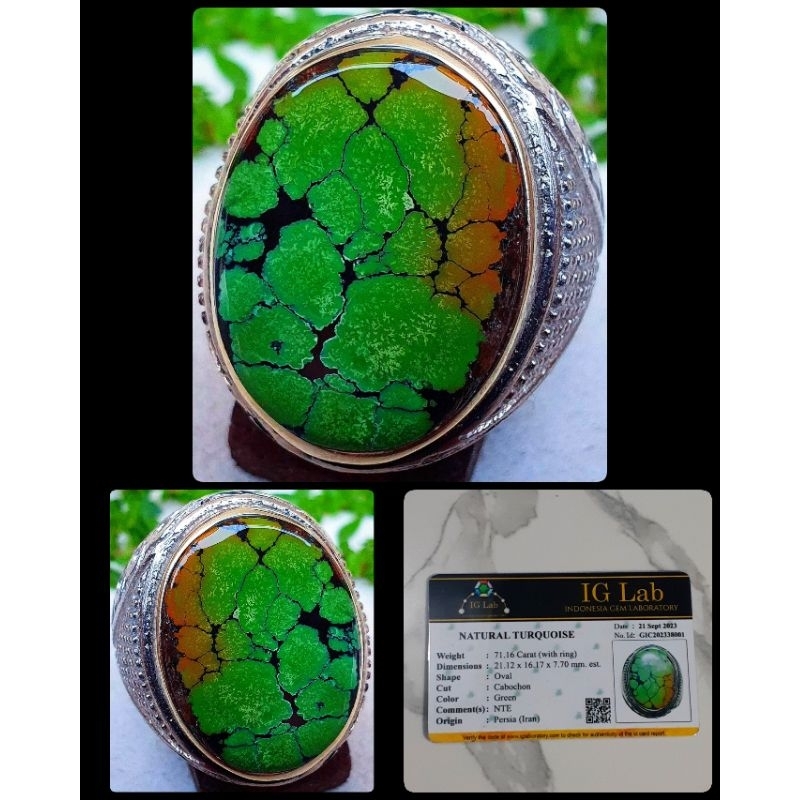 Jual PIRUS IJO DAUN MULTI COLOUR BODY PORSLEN PERSI | Shopee Indonesia