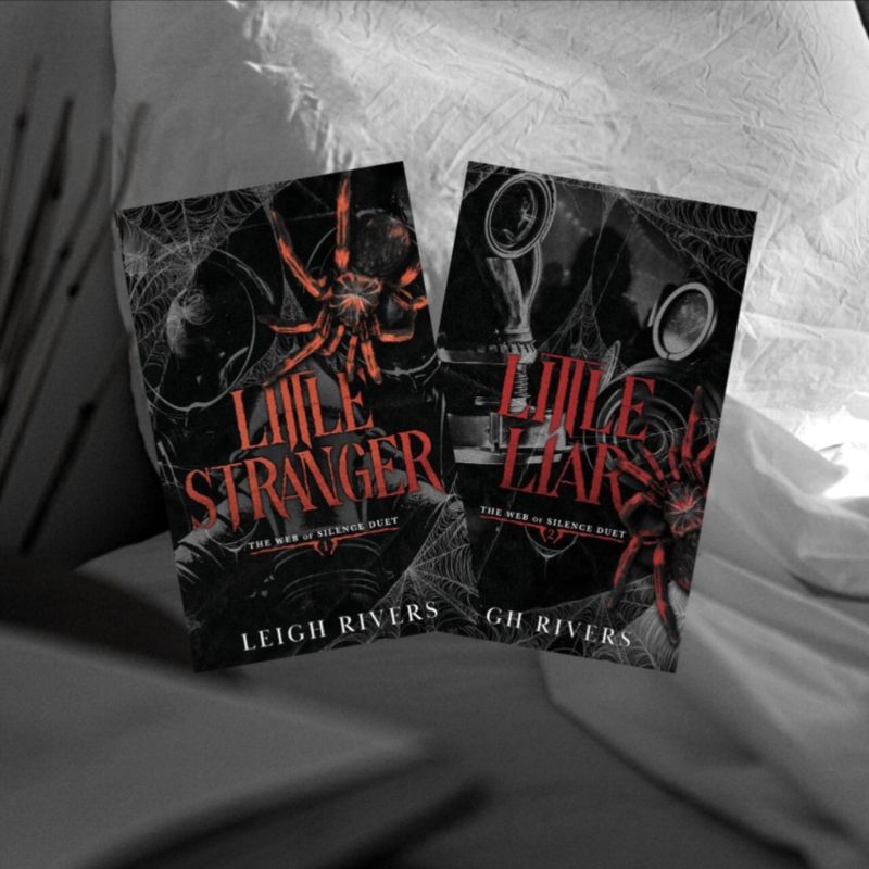 Jual The web Of Silence Duet - Little Stranger ,Little Liar By Leigh ...