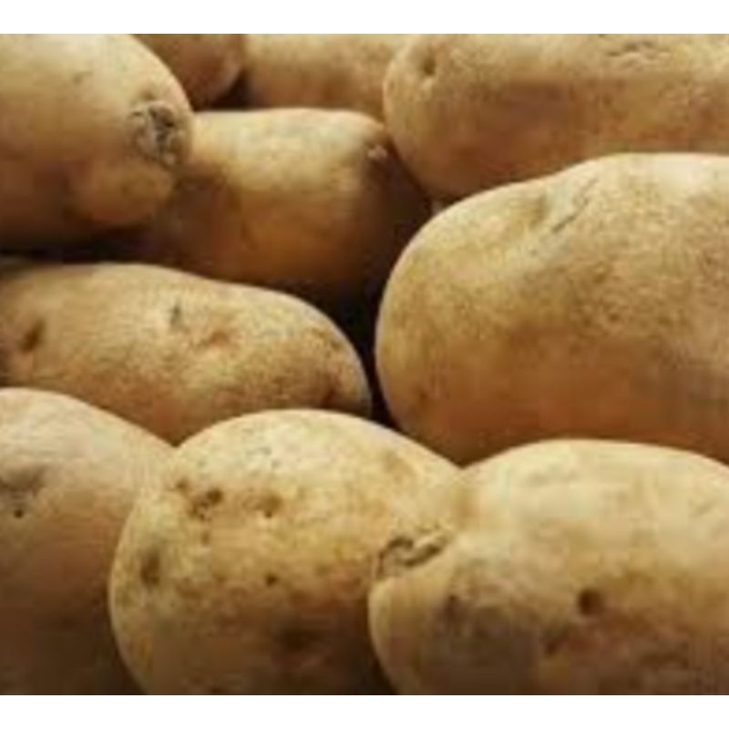 Jual KENTANG KUNING SEDANG RP 9.000 / 500 GRAM | Shopee Indonesia