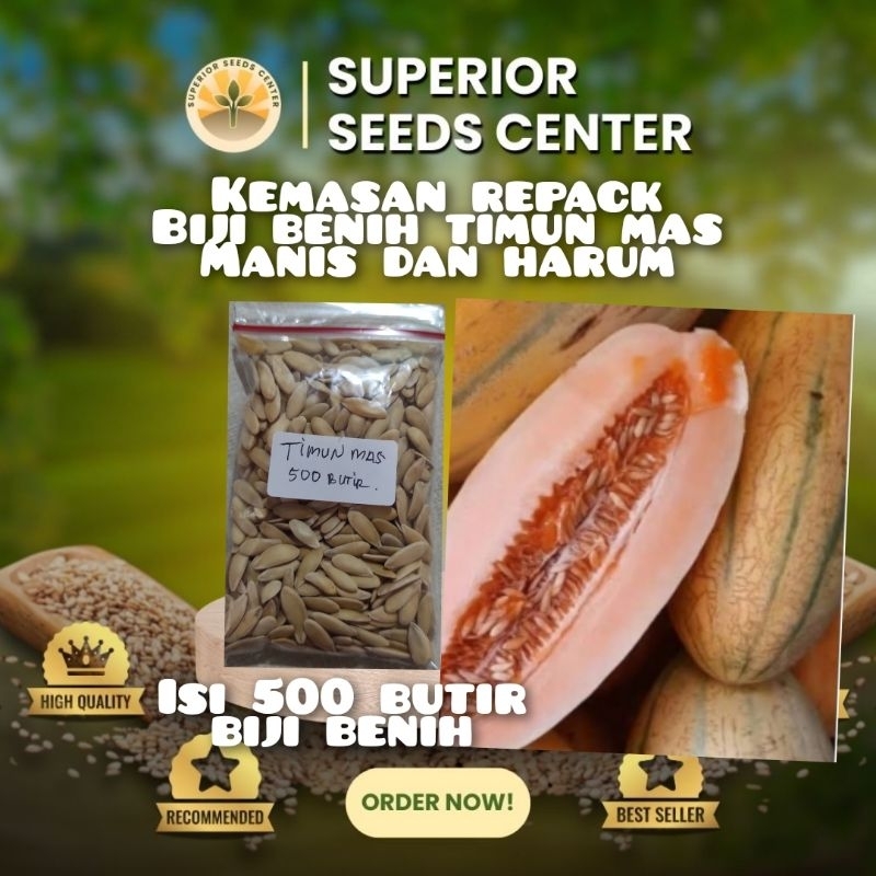 Jual 500 butir biji benih timun mas manis dan harum | Shopee Indonesia