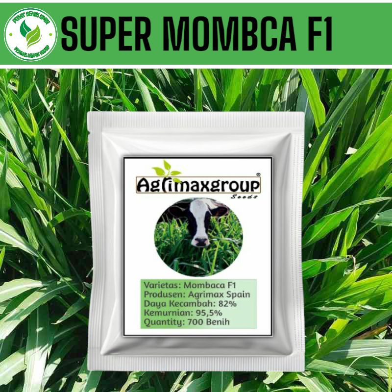 Jual Benih rumput super mombaca f1 agrimax kemasan 3000butir - bibit ...