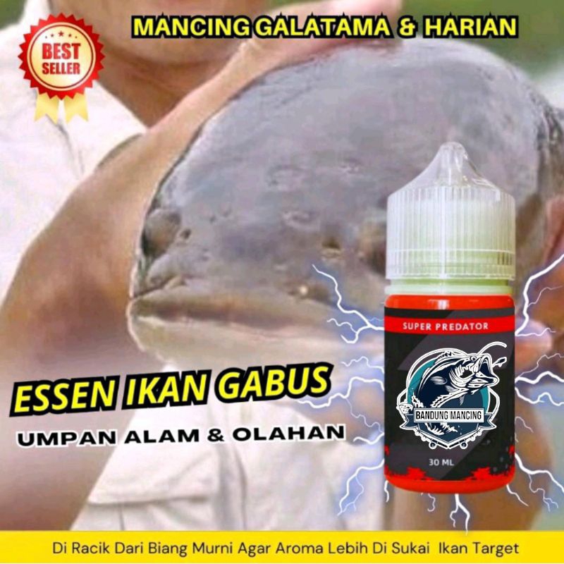 Jual ESSEN BANDUNG MANCING Untuk Memancing ikan Gabus-90 | Shopee Indonesia