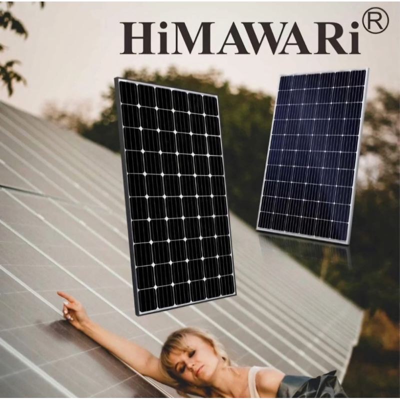 Jual Papan Tenaga Surya Solar Panel WP50 Himawari | Shopee Indonesia
