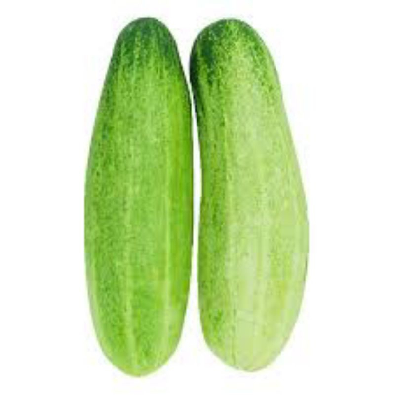 Jual Timun Segar / Berat 1 kg | Shopee Indonesia