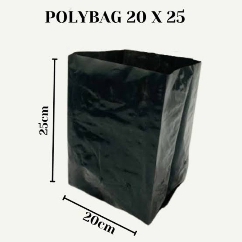 Jual POLYBAG TEBAL UKURAN 20 x 25 UNTUK BIBIT TANAMAN | Shopee Indonesia