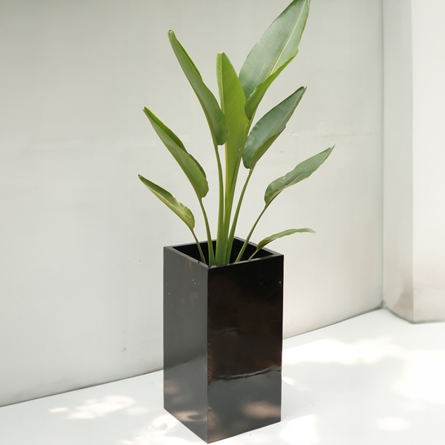 Jual POT TANAMAN TERAZZO BOX CUSTOM | Shopee Indonesia