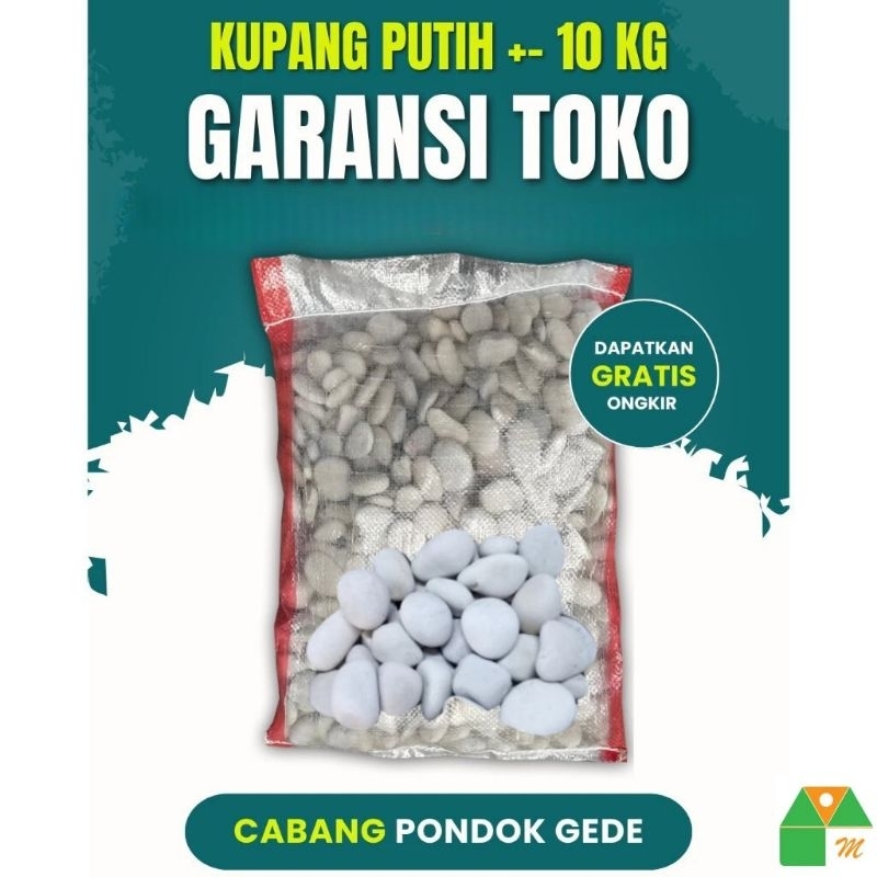 Jual Batu Coral Kupang Putih Karung 10 Kg Koral Krikil Ukuran Kecil ...