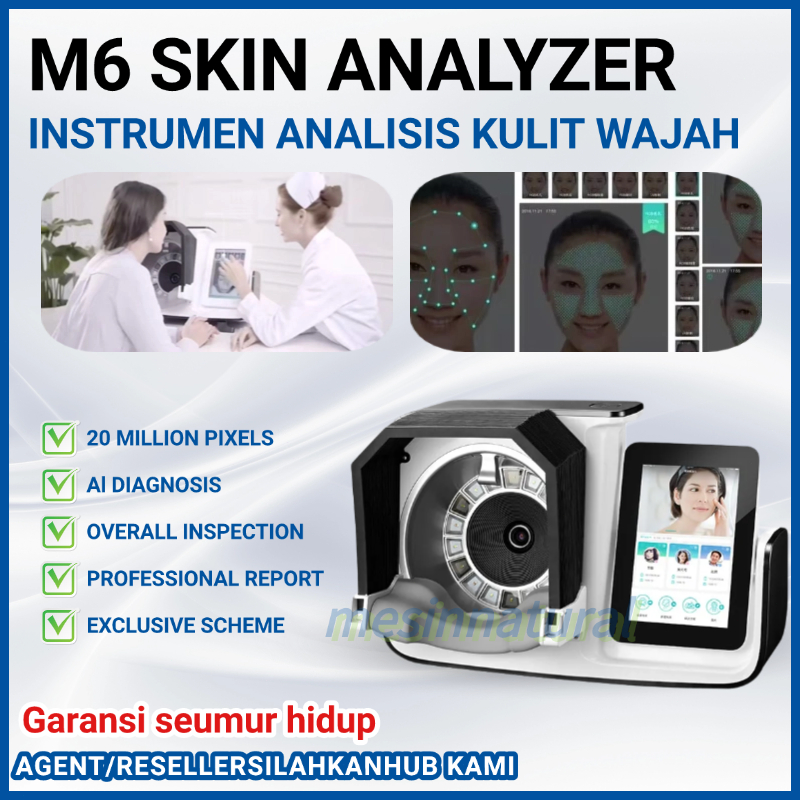Jual Portable Intelligent Skin Analyzer Machine 3D Facial Skin Testing ...