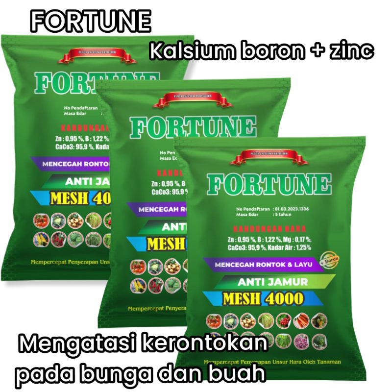 Jual Fortune Ratunya Kalsium Boron + Zinc isi 1 Kg Pencegah Rontok ...